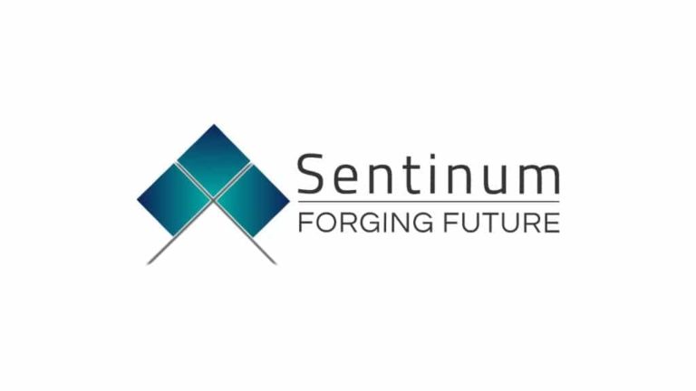 Sentinum | IoT Use Case